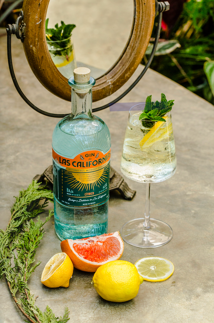 SoCal Tonic, el drink de dos pasos genial para el verano - Marie Claire ...