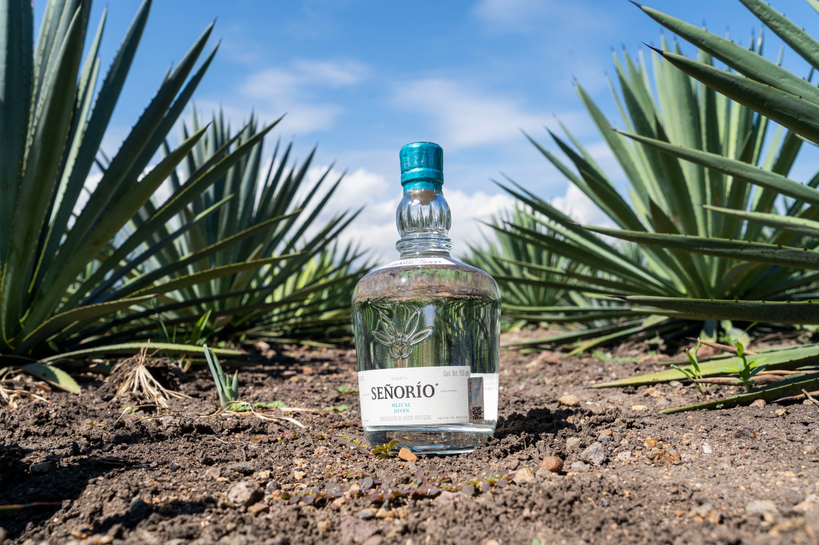 Señorío mezcal como un delicioso beso - Marie Claire México