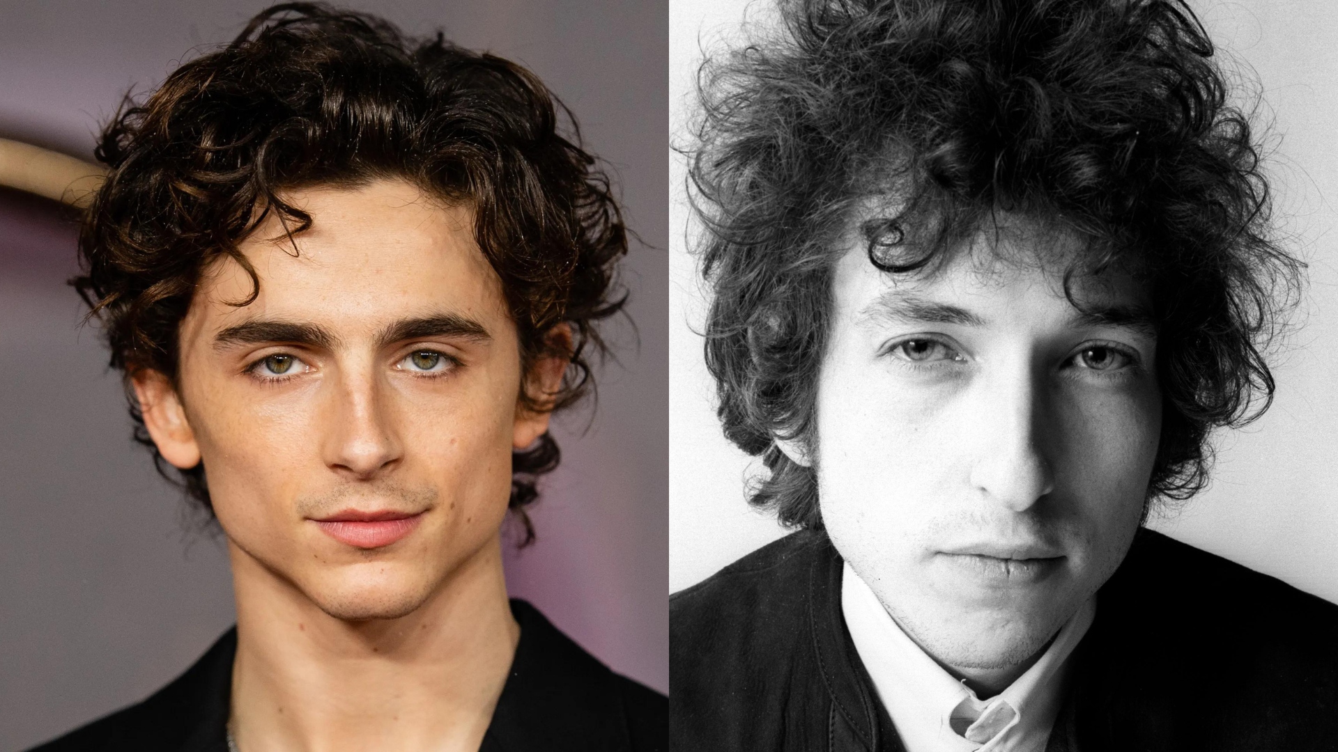 Timothée Chalamet en la piel de Bob Dylan en una nueva biopic - Marie ...