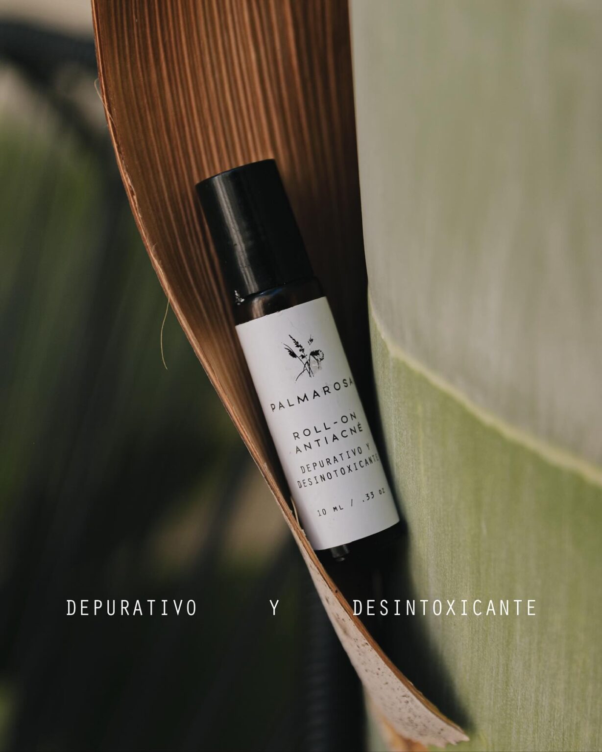 8 marcas mexicanas de skincare que debes conocer (y agregar a tu rutina ...