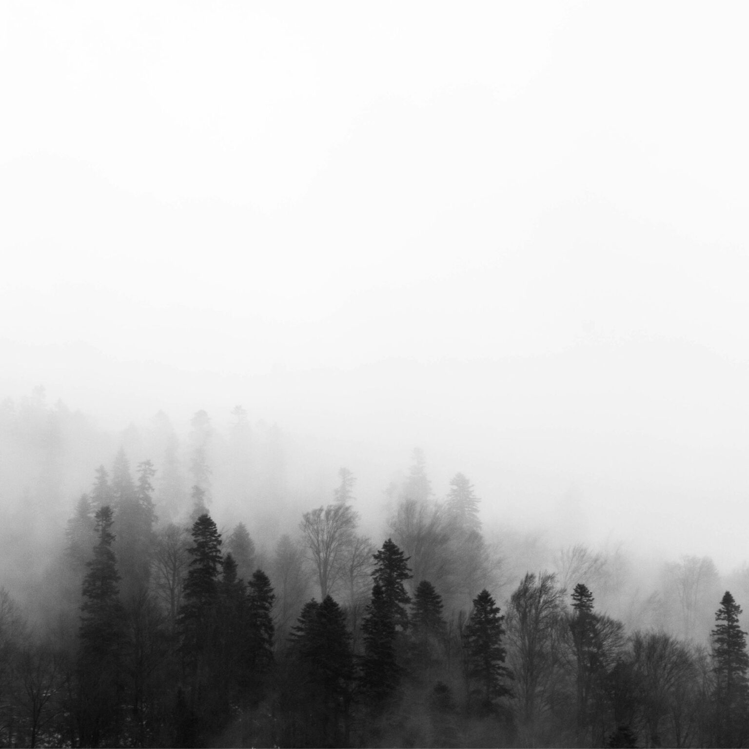 Color negro: Significado y qué representa