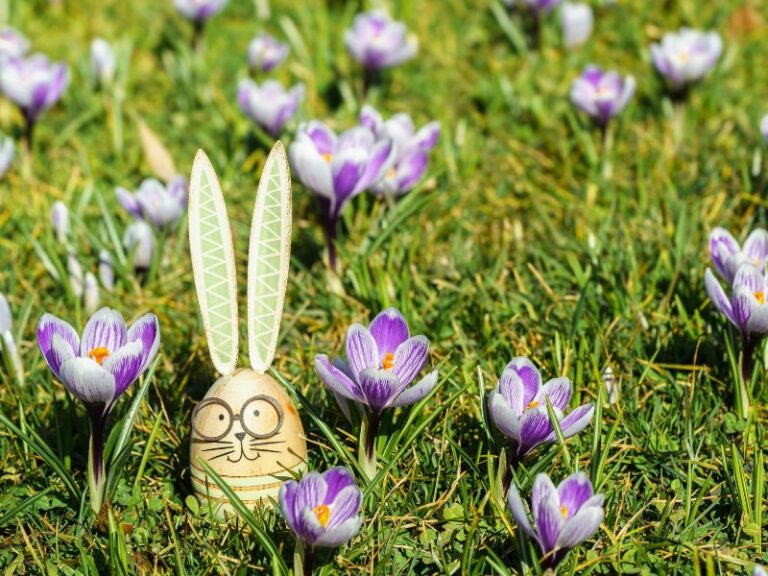 Conejo de Pascua: Origen, tradición y significado