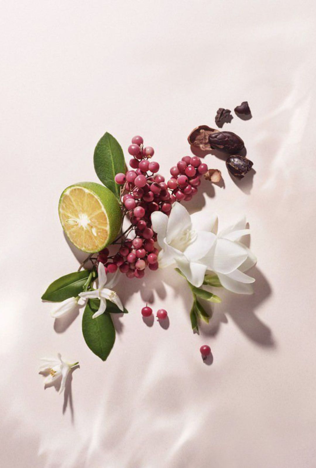 Perfumes de noche: fragancias que te harán brillar en cada salida