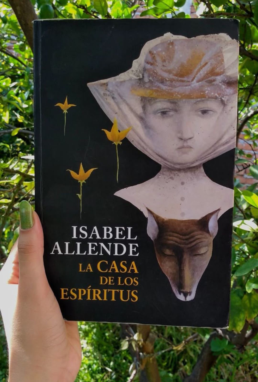 5 libros de Isabel Allende que debes leer al menos una vez en la vida