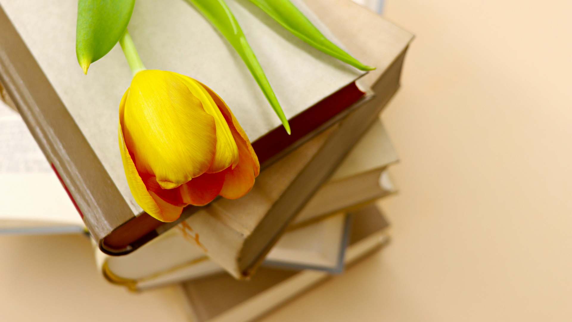 Libros de realismo mágico escritos por mujeres