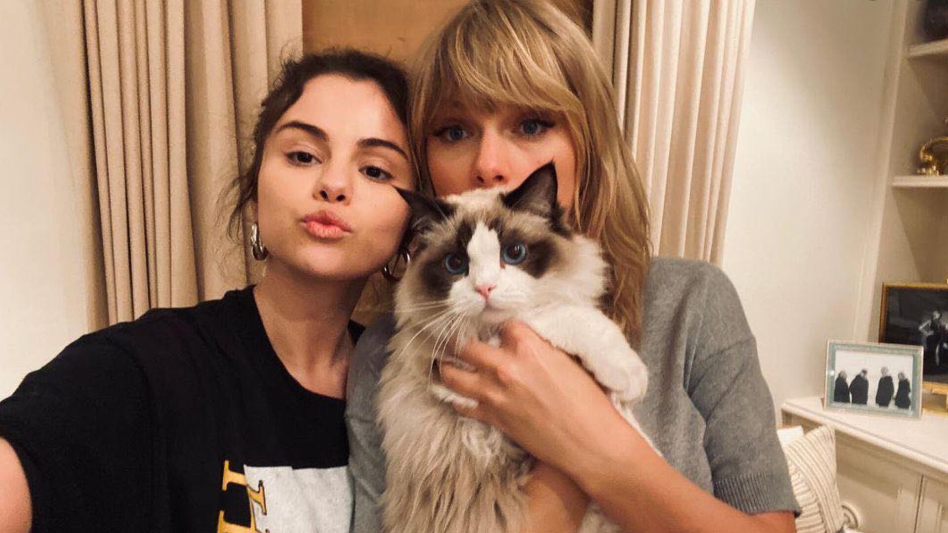 ¿Quienes son los gatos de Taylor Swift?
