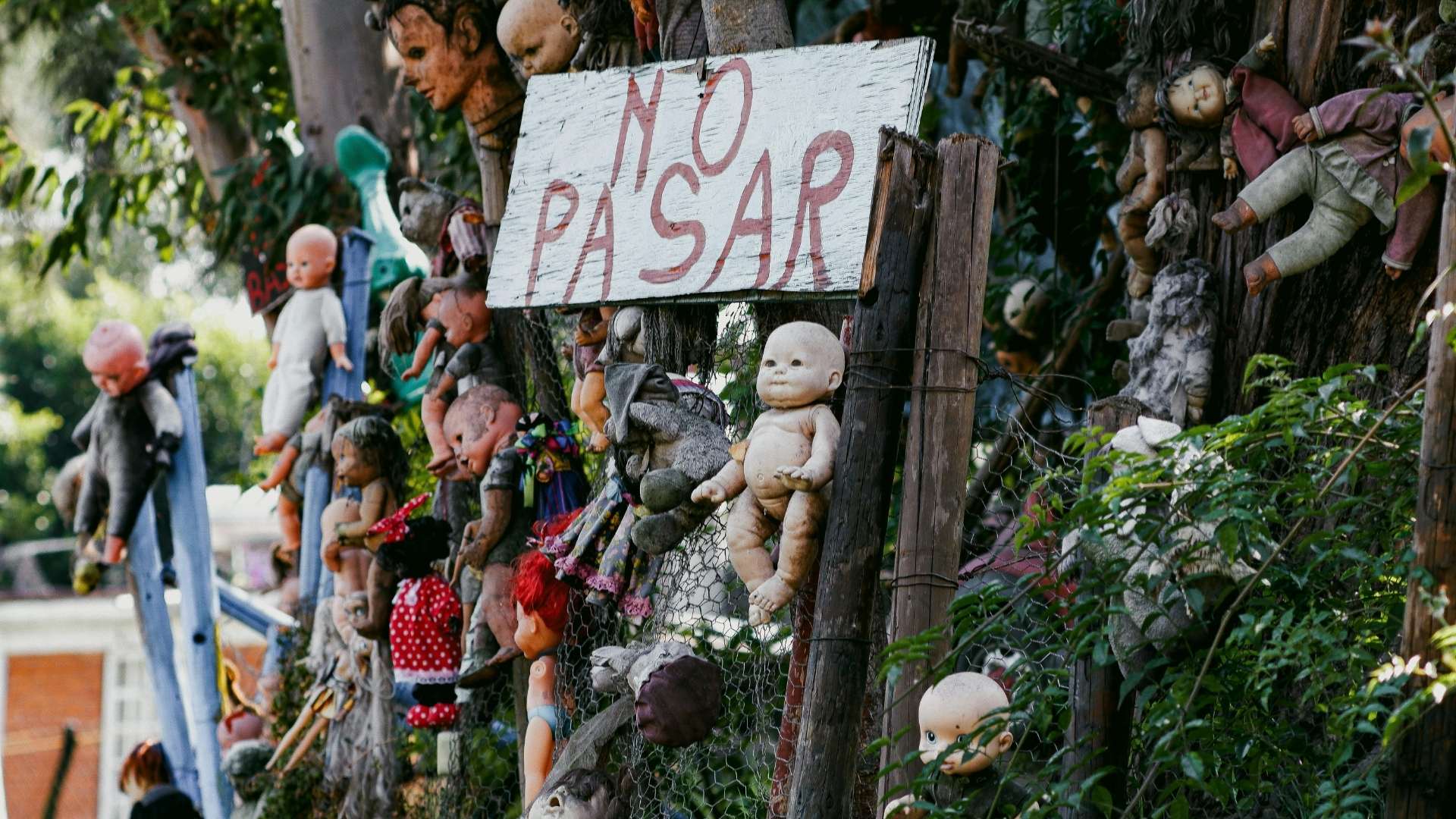 La Isla de las Muñecas en CDMX: historia, leyenda y cómo visitarla
