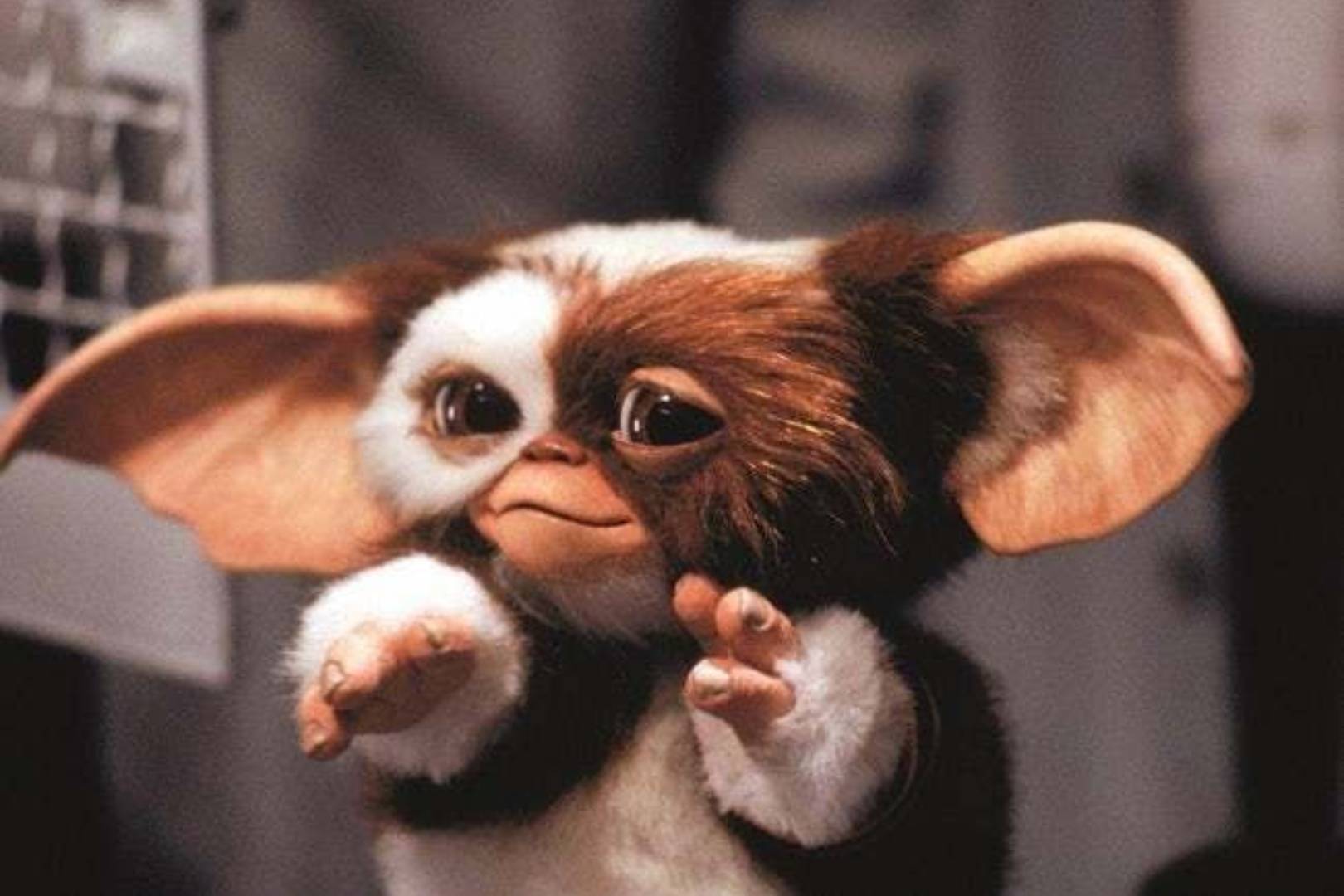 ¿Qué son los Gremlins? La película que inspiró el disfraz de Belinda