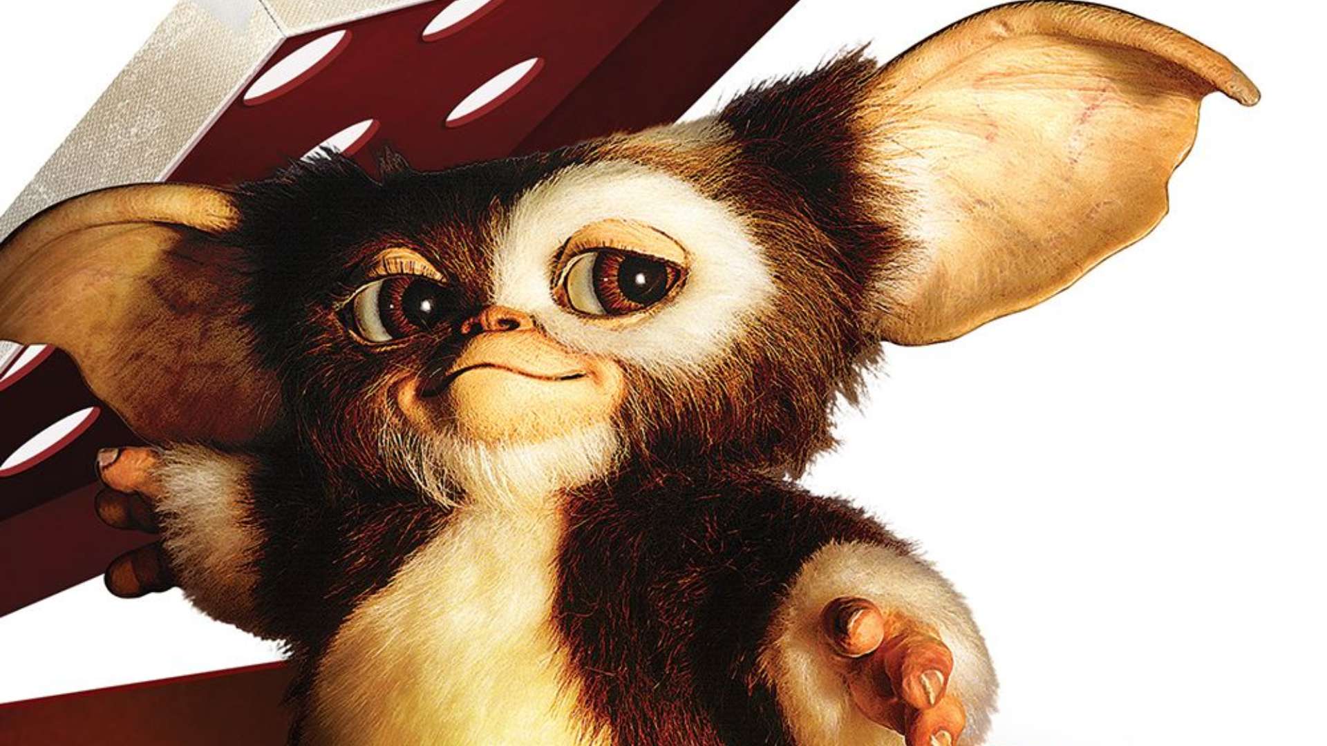 ¿Qué son los Gremlins? La película que inspiró el disfraz de Belinda