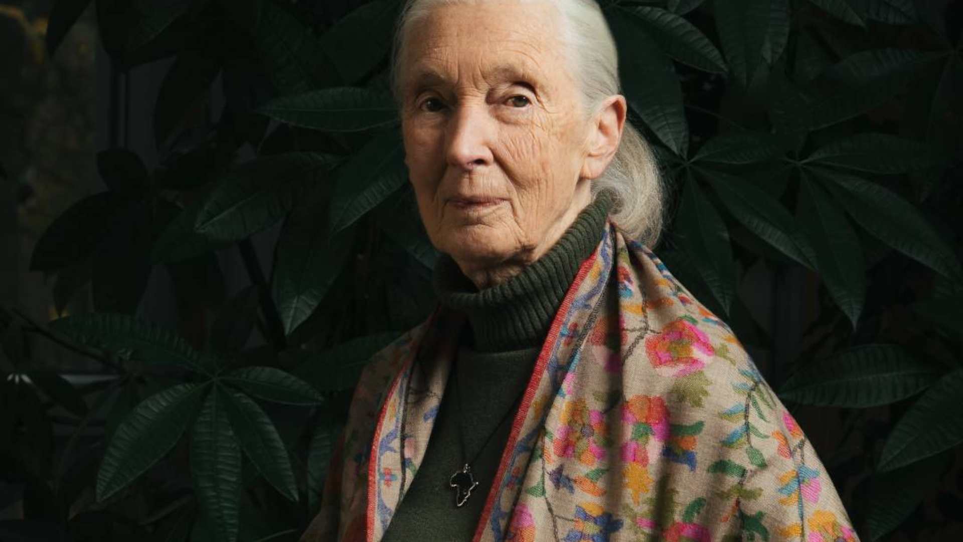 ¿Cómo murió Jane Goodall y cuántos años tenía?