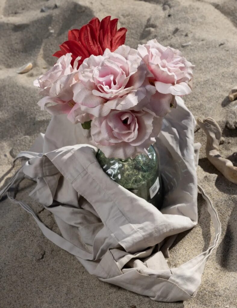 Julieta Venegas debuta con Norteña: el libro donde cuenta su historia